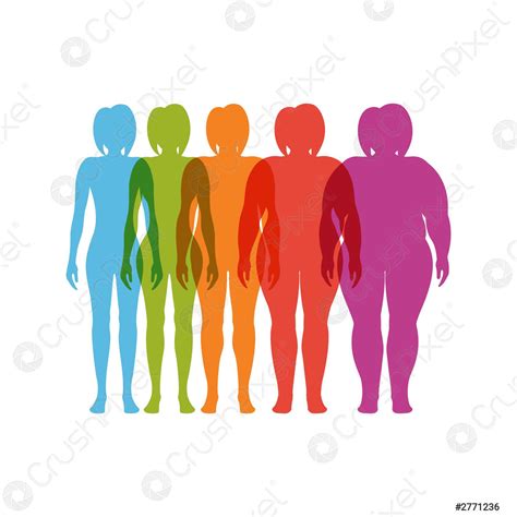 Body Mass Index Vector Illustration Stock Vector Crushpixel