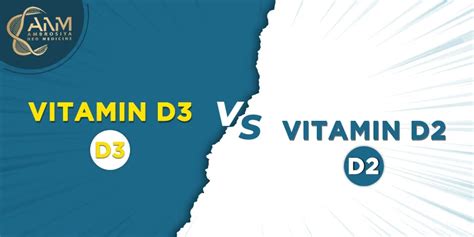 Difference Between Vitamin D3 And D2 Ambrosiya Neo Medicine