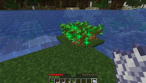 Getting And Growing Dark Oak Trees Legacy Gaming Vault
