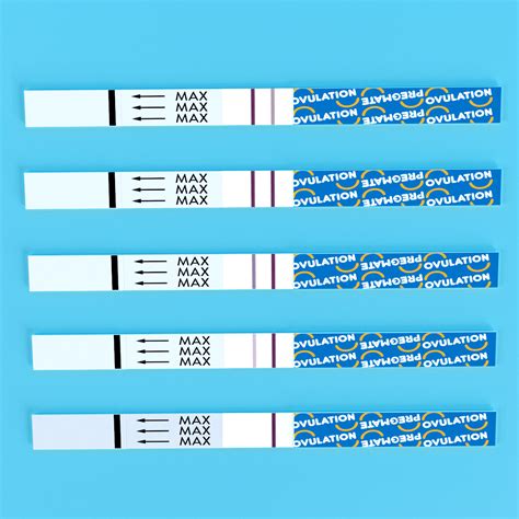 Reading Ovulation Test Strips Results Pregmate