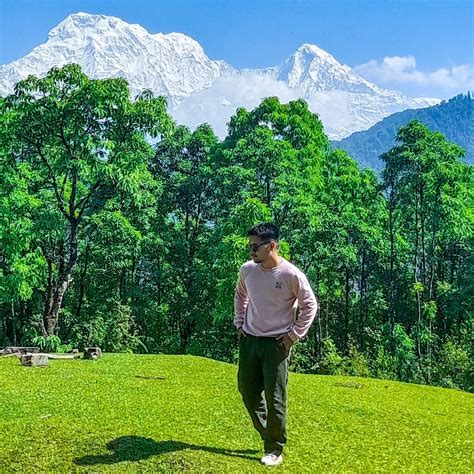 Lifelens📸 Youtube