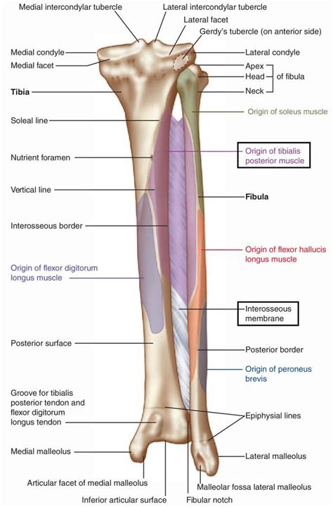 Neurokinetic Therapy Added A New Photo Neurokinetic Therapy