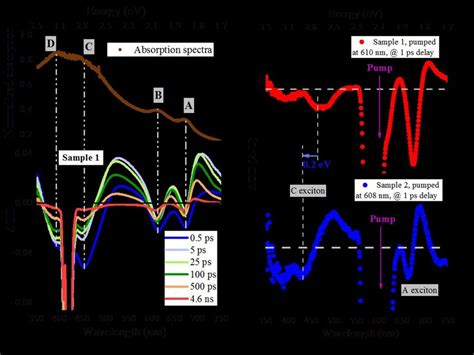 A Differential Absorption Spectrum Of Sample 1 At Different Probe Download Scientific Diagram