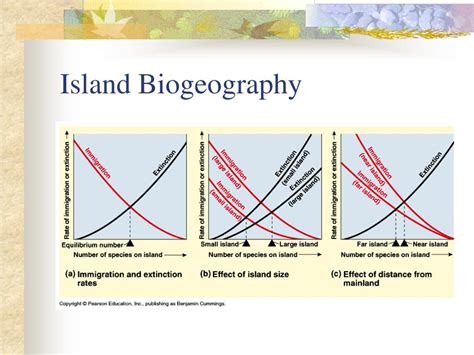 Ppt Species Richness Powerpoint Presentation Free Download Id500993