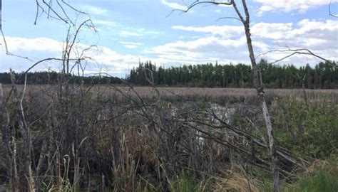 Ecological Land Classification For Southern Ontario Natural Resources Training Group