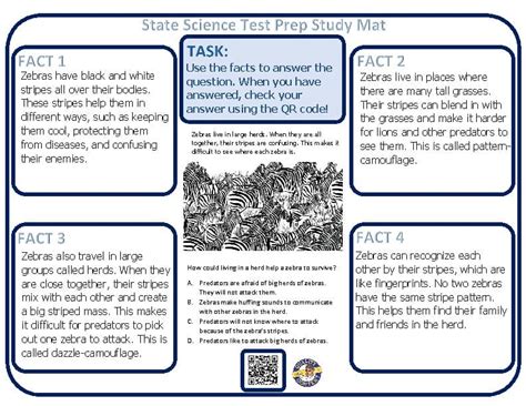 State Science Test Prep Mat Set 4 By Tashas Treats Tpt