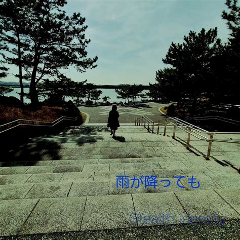 Stealth Identity Discography Stealth Identityディスコグラフィ Vkgy ブイケージ