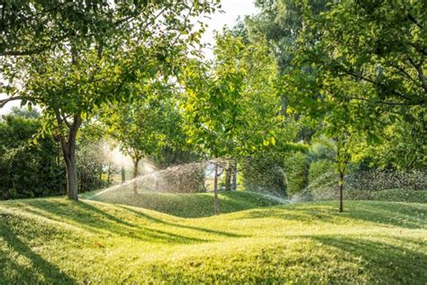 Everything You Need To Know Before Putting Above Ground Sprinklers In