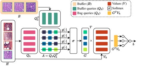 Visual Representation Of The Proposed Model In Particular Given The Download Scientific