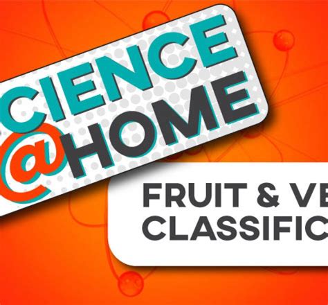 Sah Fruit And Veggie Classification Reading Science Center