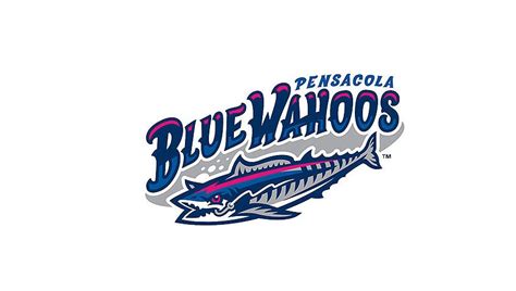 Blue Wahoos Host Job Fair Tuesday Bud Light Tennis Set