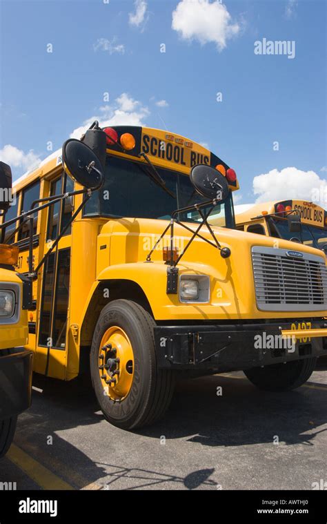 Types Of School Buses School Activities