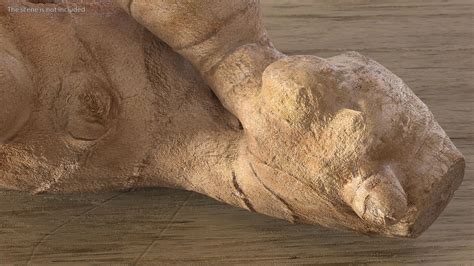 Ginger Without Part 3d Model 29 3ds Blend C4d Fbx Max Ma Lxo