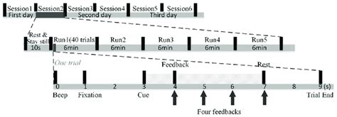 The Experimental Paradigm Schematic Diagram Download Scientific Diagram