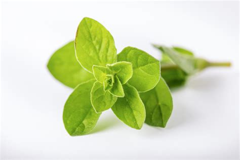 Origano Thecircle Food