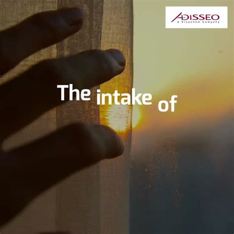 Vitamin Feed Premix D3 Microvit Adisseo Adisseo