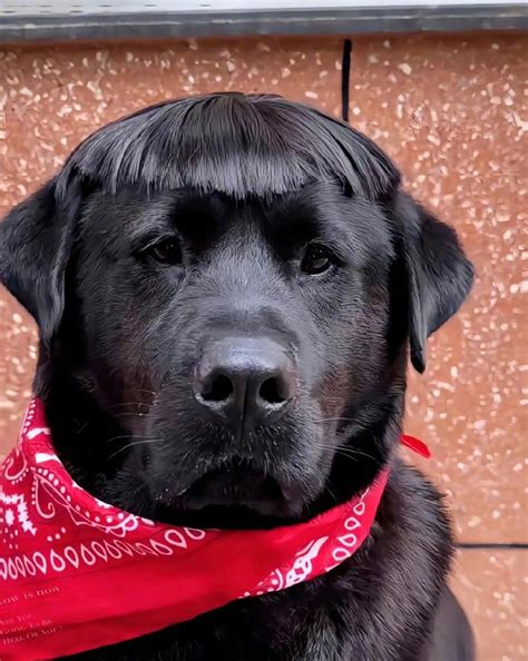 网络爬虫用什么代理ip比较好？ 知乎