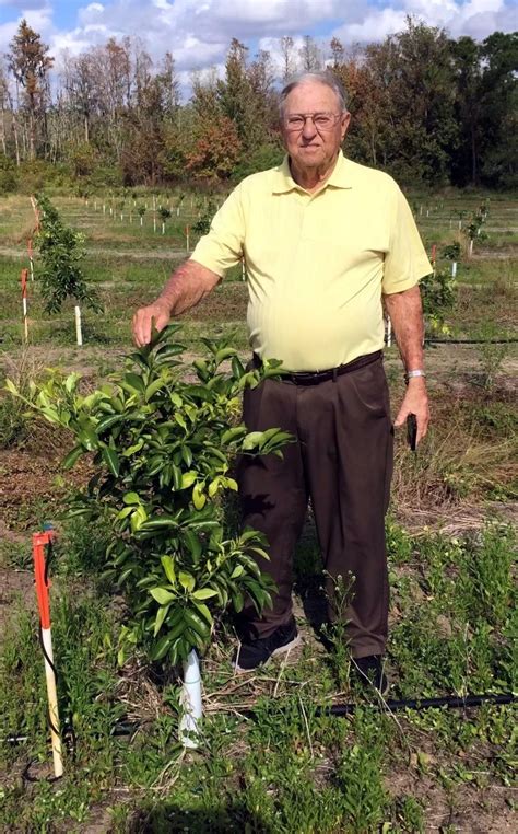 William Davis Obituary Gotha Fl