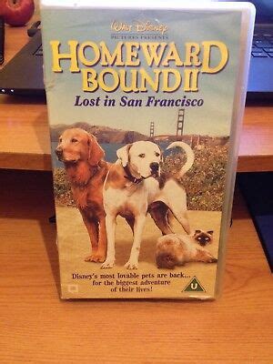 Andhomeward Bound 2 Lost In San Francisco Vhs Eur 1140 Picclick De