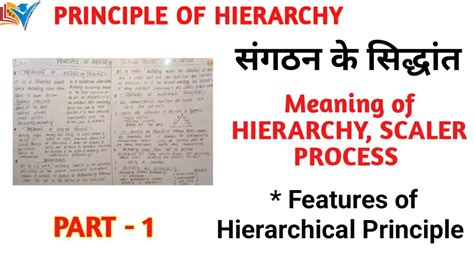 Principle Of Hierarchy Scalar Process Meaning Nature Part 1
