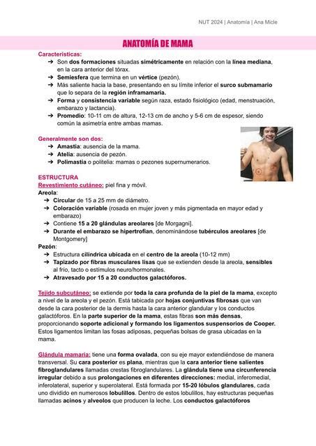 Anatomía De Mama Ana Udocz