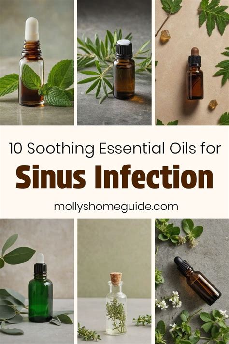 10 Soothing Essential Oils For Sinus Infection In 2025 Oils For Sinus
