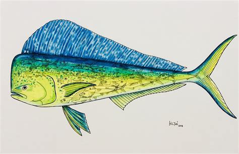 Dorado Fish You Are What You Eat Pastel By Graham Wallwork Fine Art