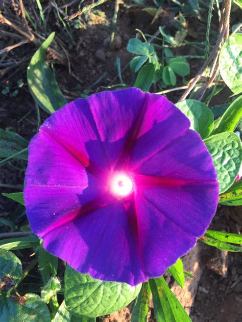 Leslie Ackerson Leslie Ackerson Added A New Photo