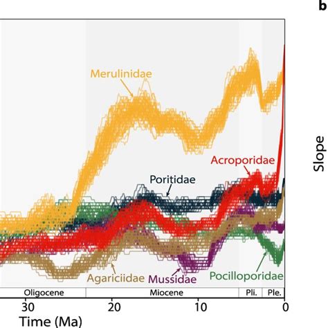 Evolutionary Rates Through Time In Scleractinian Corals Rates Of Download Scientific Diagram