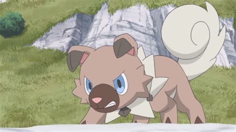 Rockruff Pokémon Bulbapedia The Community Driven Pokémon Encyclopedia