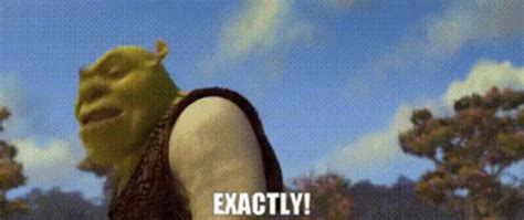Shrek Exactly  Shrek Exactly Precisely Descobrir E Compartilhar S