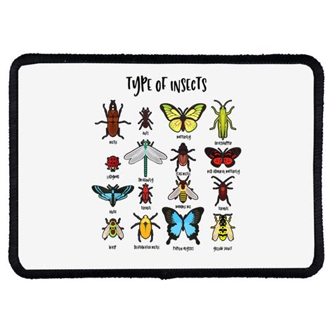 Types Of Insects Study Of Biology Science Bug Identification T Shirt