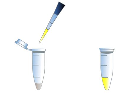 Illumination™ Lyophilized Firefly Luciferase Enhanced Assay Kit Pure