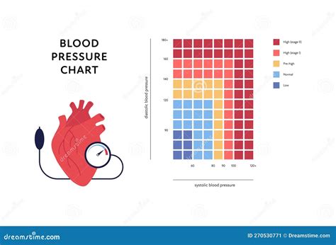 Blood Pressure Infographic Vector Flat Illustration Health Care