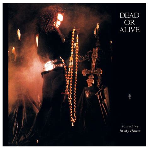 Dead Or Alive Something In My House 12 Maxi Single Vinilo Hitway
