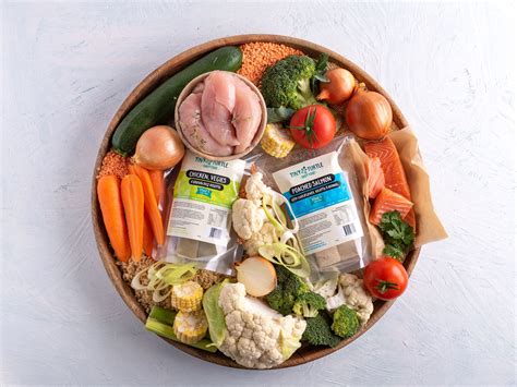 Tiny Turtle Aimee Francis