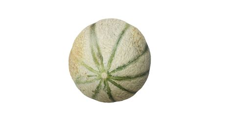 3d Model Melon Turbosquid 2120629