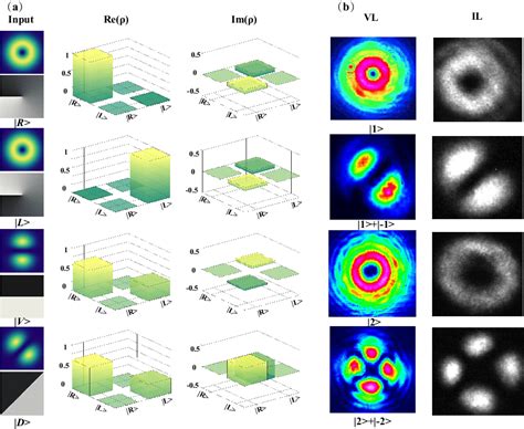 Density Matrix And Intensity Profiles A Input State And Density