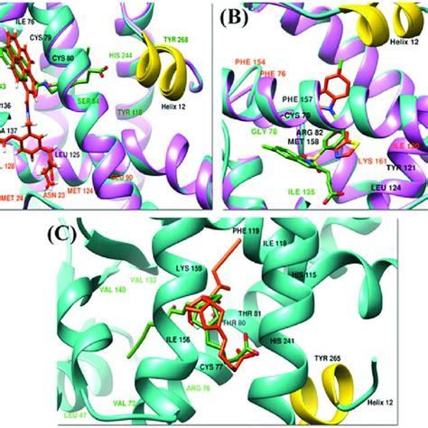 A Superimposed Structure Of Pdbs Of Pparα Forasartan Complex At 0 Ns