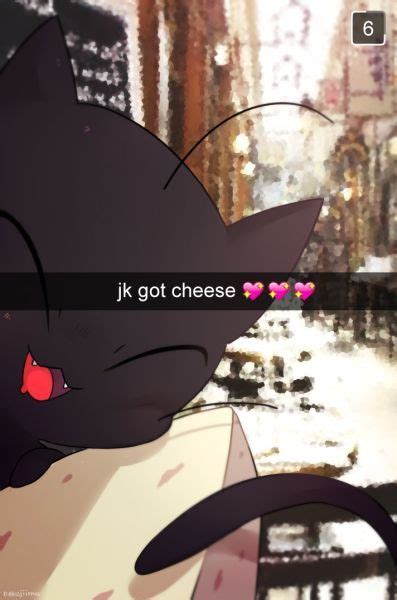Plag And Cheese Snapchat Part 3 Miraculous Ladybug Anime Miraculous Ladybug Memes Miraculous
