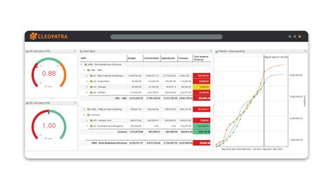 Project Dashboarding Tool Cleopatra Enterprise
