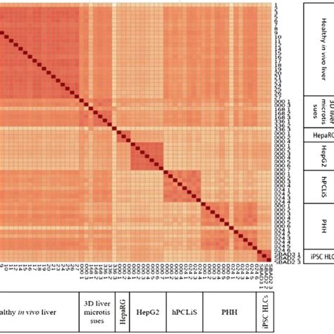 Spearmans Correlation Plot The Spearmans Correlation Plot For Download Scientific Diagram