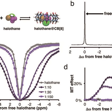 Cb 7 Halothane Hostguest System In D2o A Dft Optimized Structures