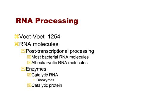 Solution Rna Processing With Details Studypool