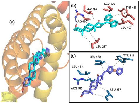 A Complexes Docked In The Binding Site 2 Of The Hsa Protein Pdb