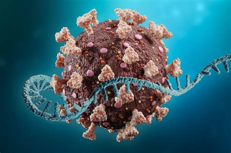Rapid Analysis Of Synthetic Mrna Cap Structure Using Ion Pairing Rplc