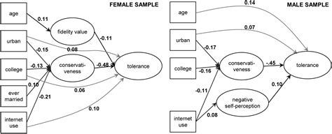 Homosexuality Tolerance Among Male And Female Vietnamese Youth An
