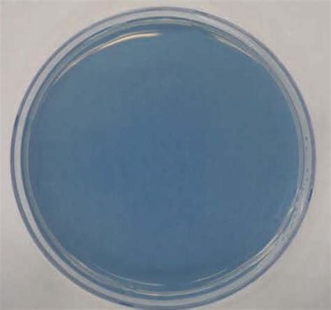 Antimicrobial Elevator Button Covers Now Available