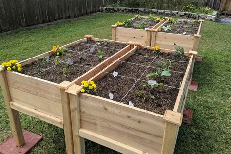 How To Feed Your Raised Bed Garden For Optimal Growth Boost Yields With