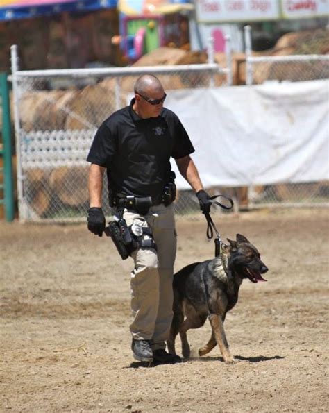 A New Four Legged Cop In Angels Camp